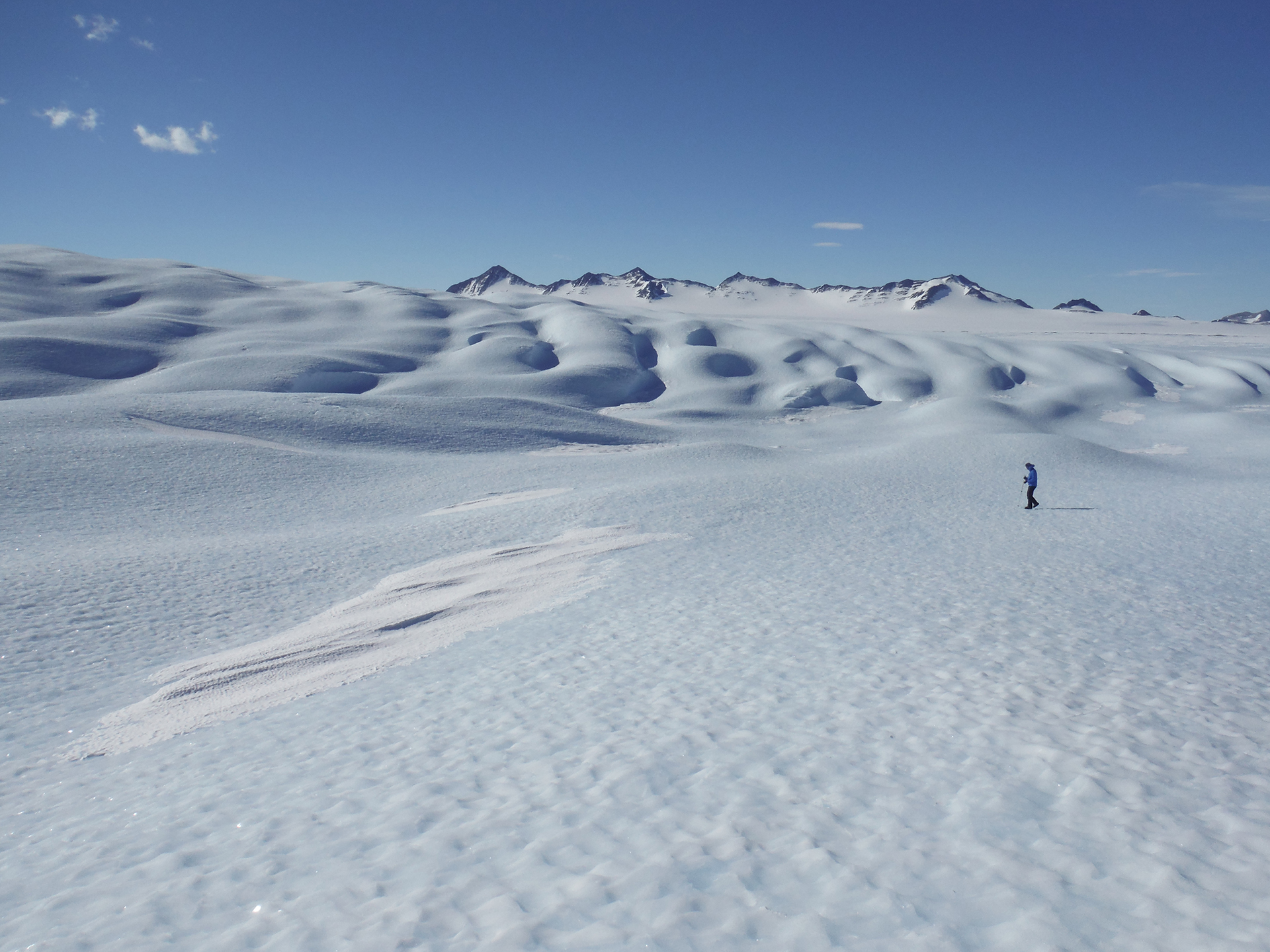 Antártica e Ártico no limite - Ciência HojeCiência Hoje