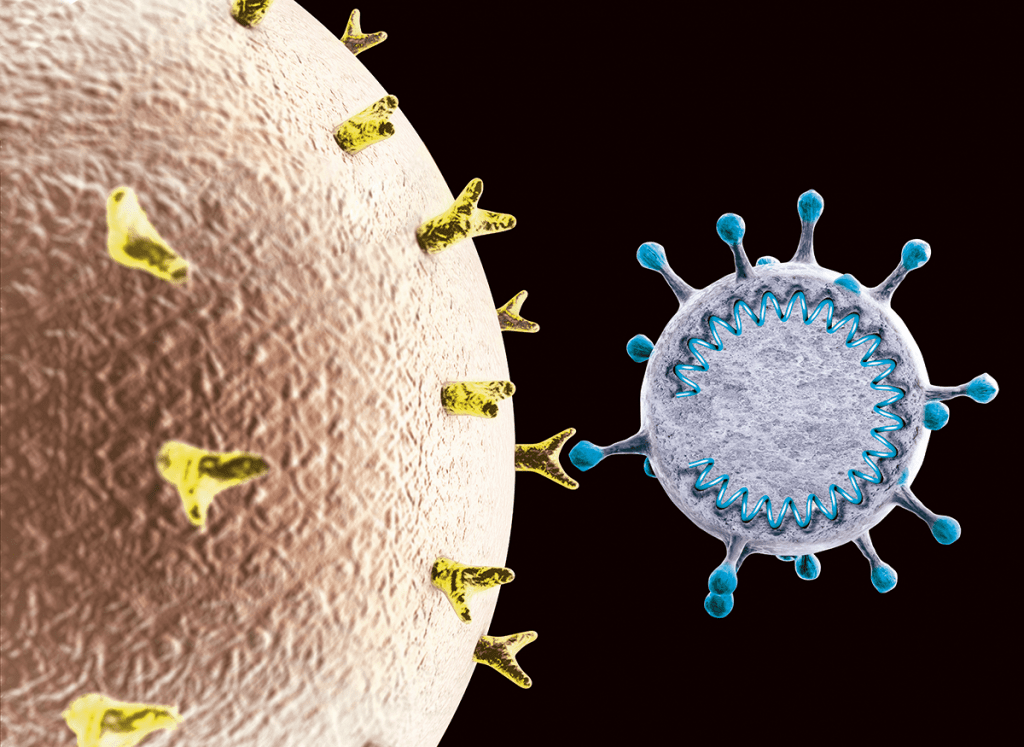 Os vírus e suas criativas estratégias de reprodução - Ciência ...