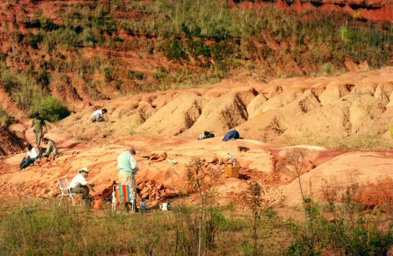 Espécie descoberta em fósseis de suposto pterossauro - Ciência ...