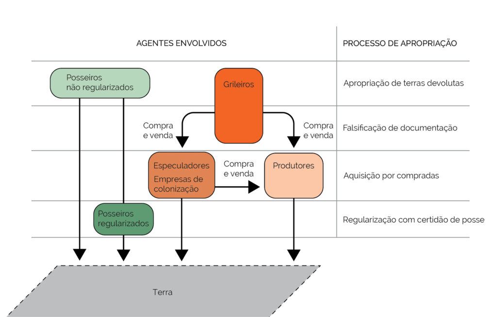 As novas faces da grilagem no Brasil - Ciência HojeCiência Hoje