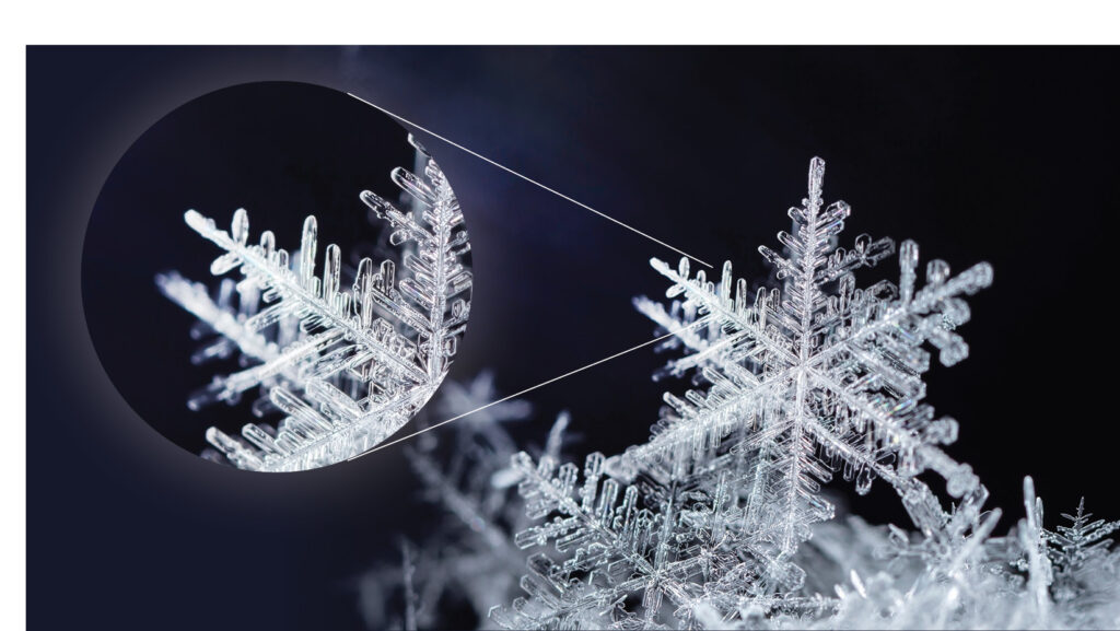 A matemática e a arte dos fractais - Ciência HojeCiência Hoje