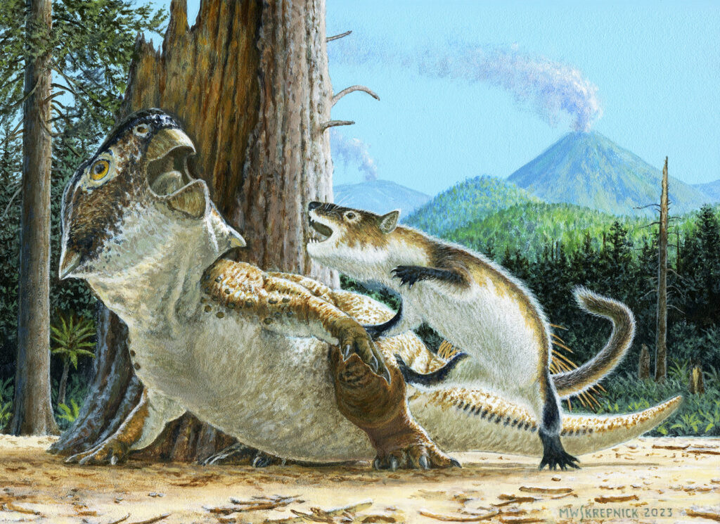 Mamífero e dinossauro em batalha pela vida - Ciência HojeCiência Hoje