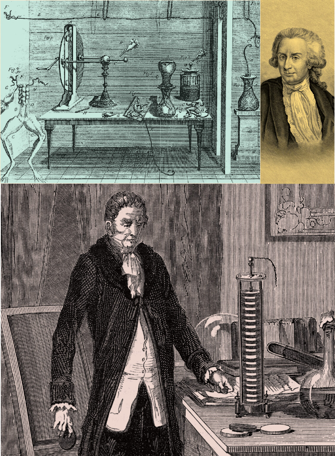 Galvani e Volta, um embate elétrico - Ciência HojeCiência Hoje