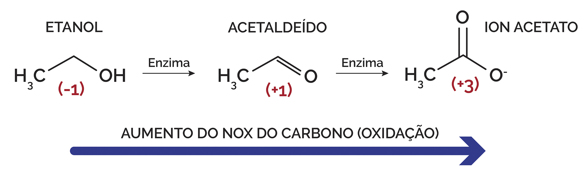 A química da ressaca - Ciência HojeCiência Hoje